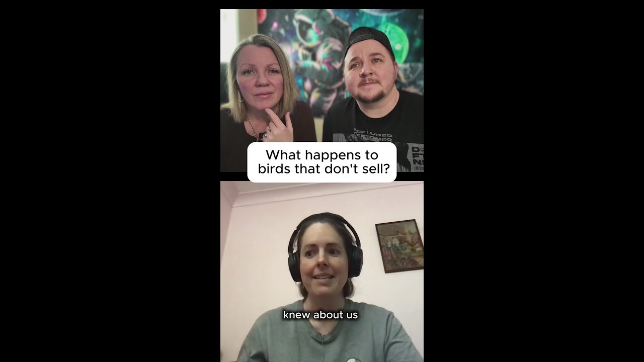 THEY WERE GOING TO BE 