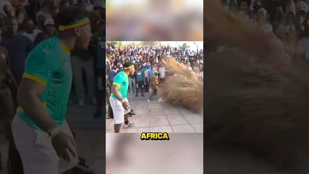 Why Are These Haystacks Dancing on Their Own?