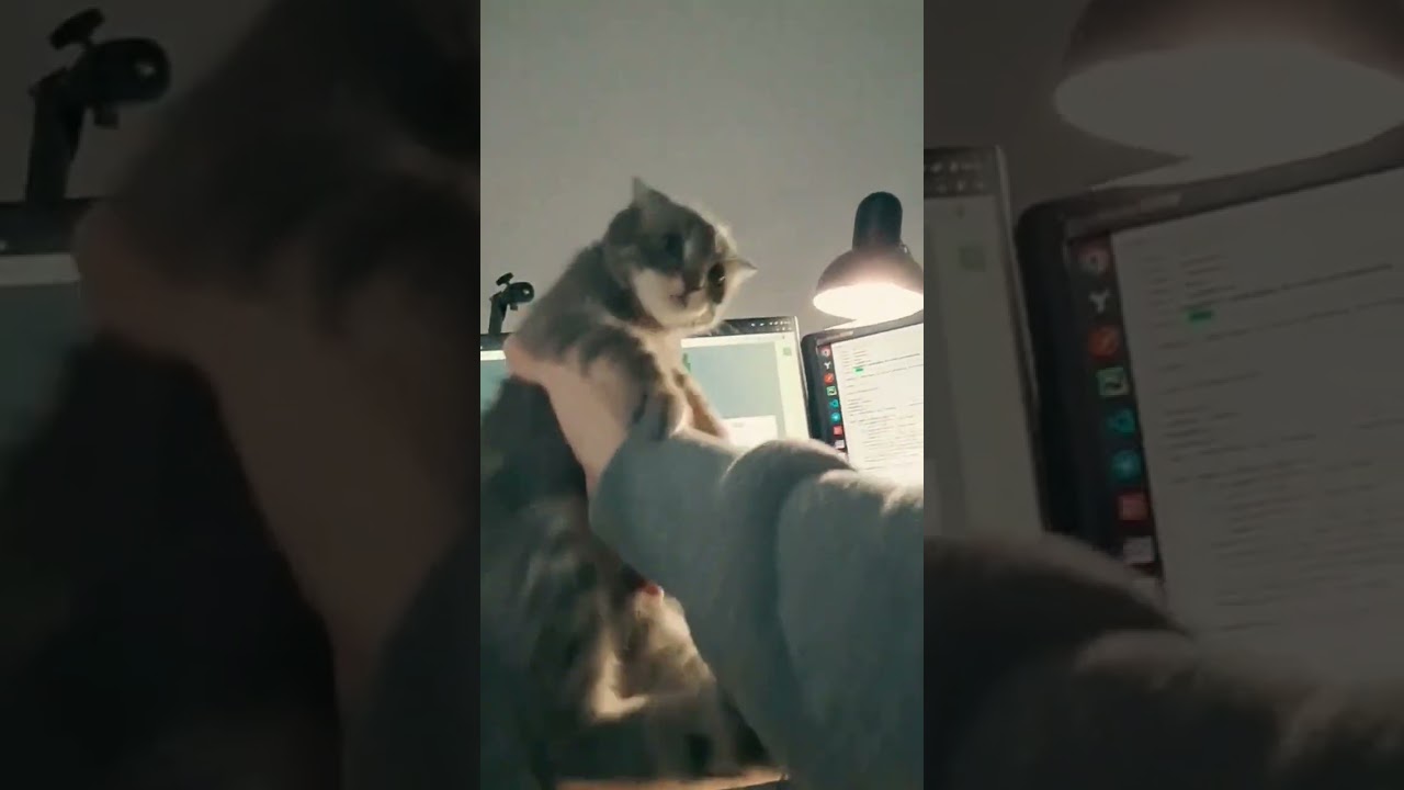 git to 3d. gitprint. #gitto3d #git #github #gitlab #cat #code3d