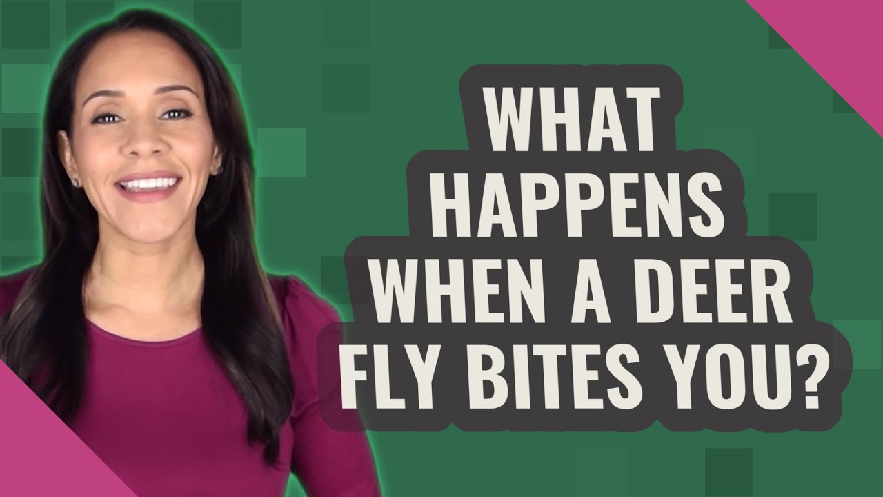 What happens when a deer fly bites you?