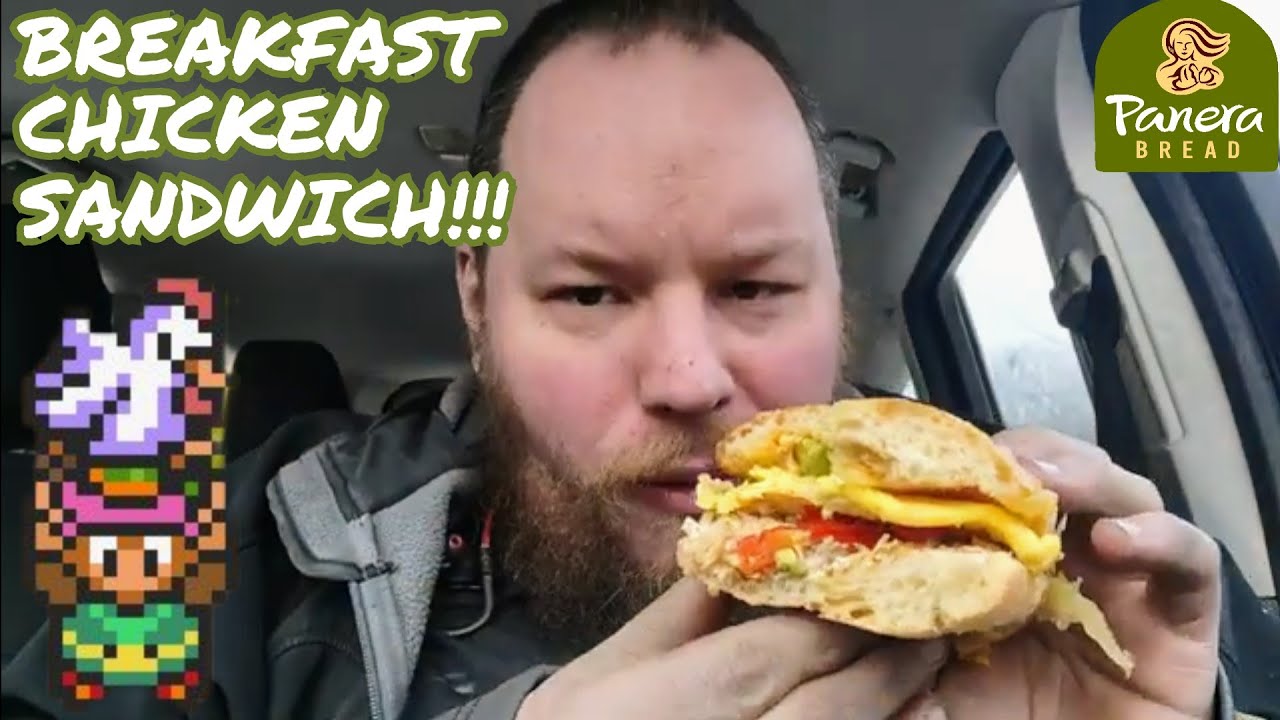 Brandon's Sampler Platter: Panera, Chipotle Chicken, Scrambled Egg & Avocado on Ciabatta Sandwich