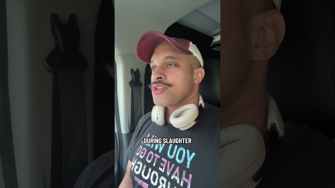 Chicken isn’t really chlorinated anymore, guys.