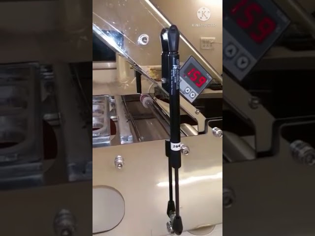 Thali Packing Machine - Meal Tray Packing Machine Manufacturer from New ...