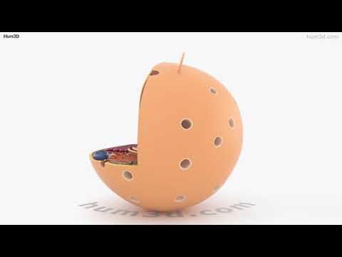 Animal Cell 3D model by 3DModels.org