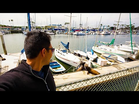 Pros and Cons of Living in Marina Del Rey