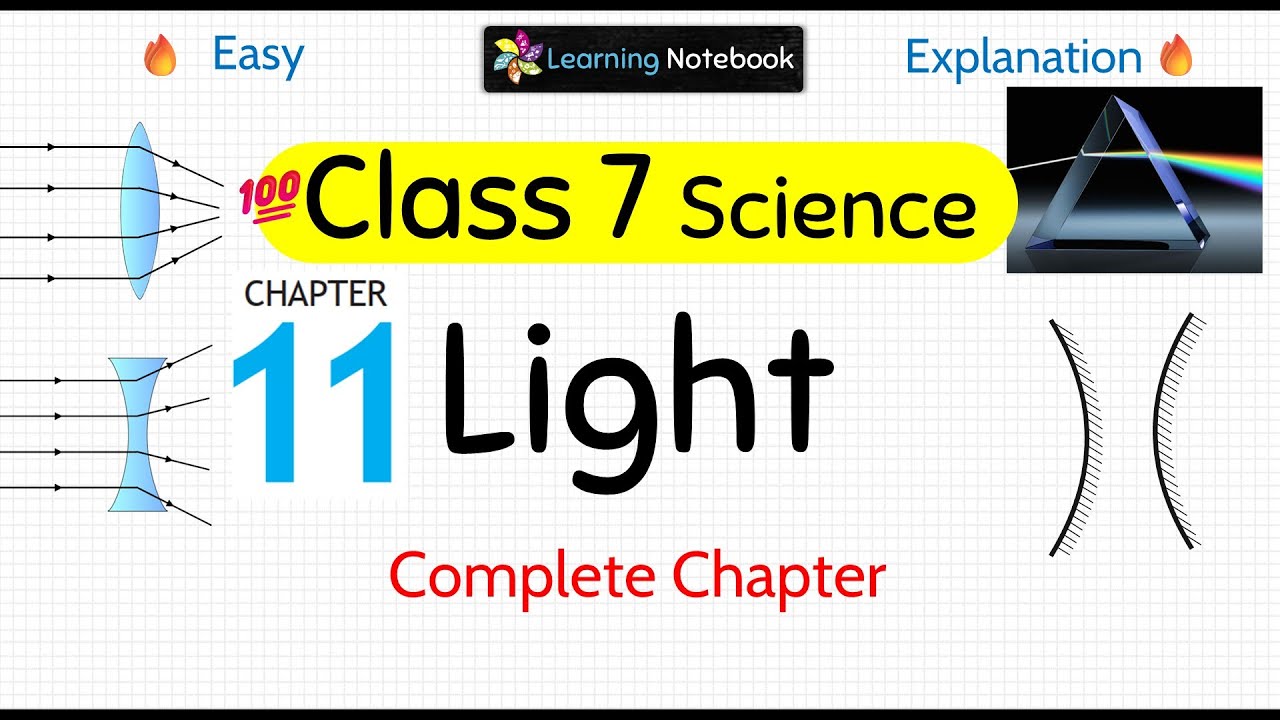 Class 7 Science Light | Class 7 science chapter 11 light
