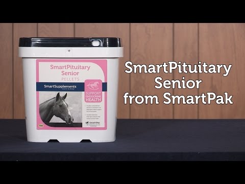 SmartPituitary Senior Equine Supplement from SmartPak