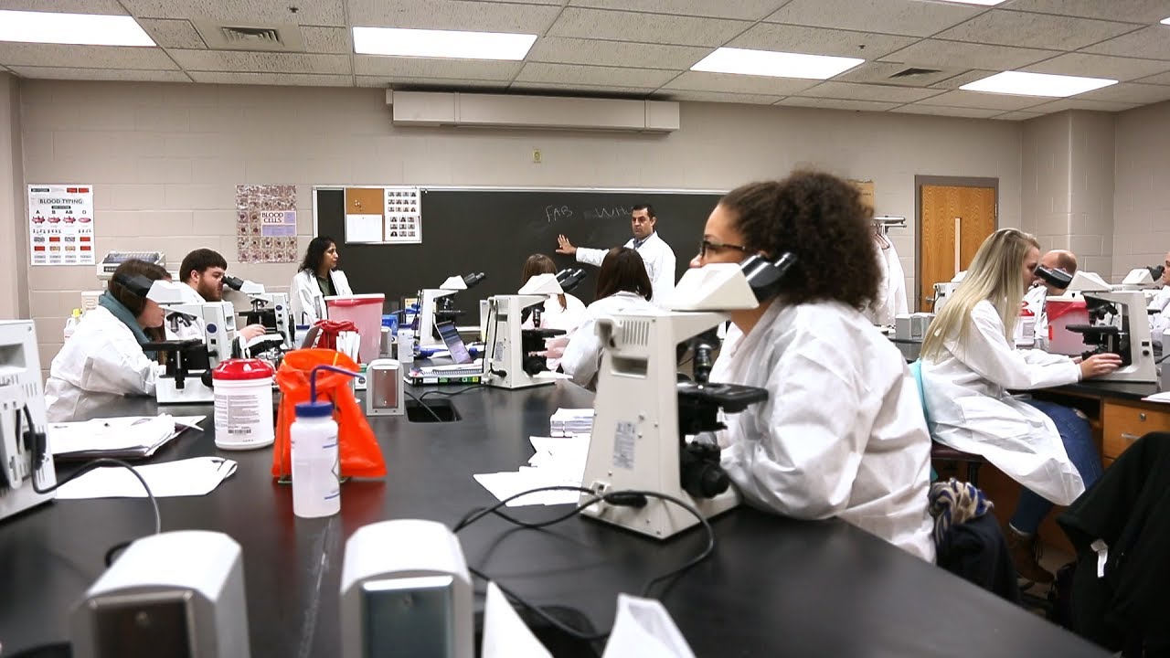 Medical Laboratory Science