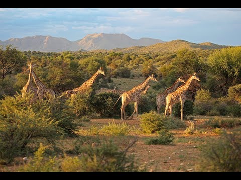 Selbstfahrer-Touren - Kenia Reisen & Informationsportal