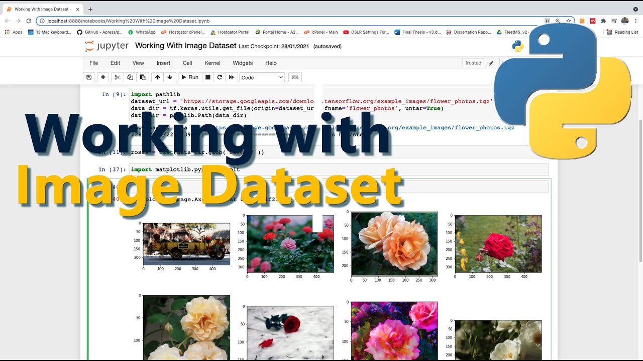 Working With Image Dataset in Python Using TensorFlow