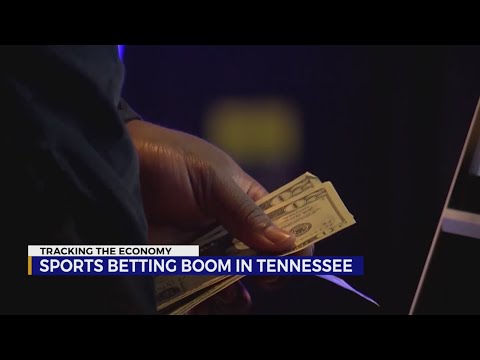 Sports betting booms in Tennessee, brings in billions