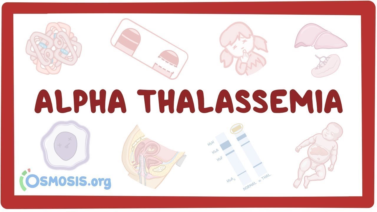 Alpha-thalassemia - an Osmosis Preview