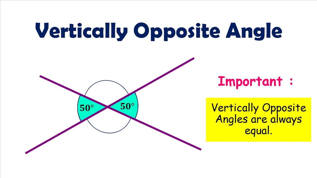 Vertically Opposite Angles Explained in 1 Minute! | Mathematics 