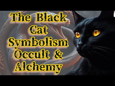 The Black Cat - Symbolism in Alchemy and the Occult