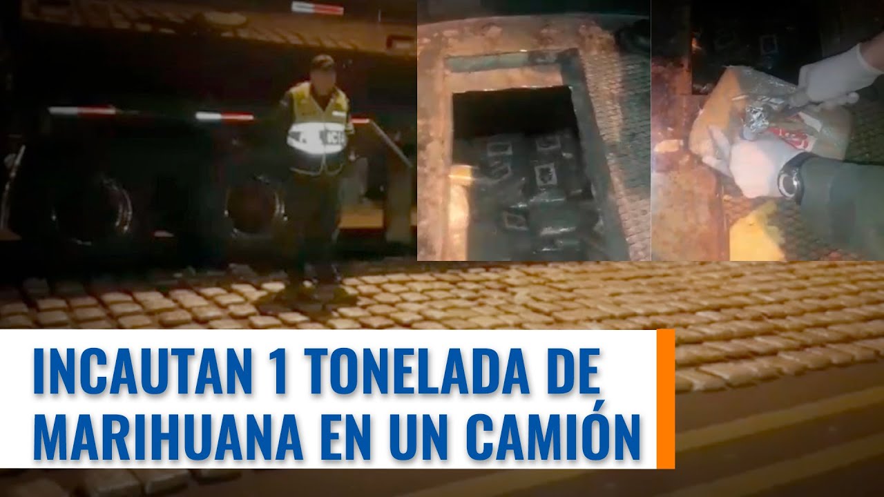 Autoridades incautan una tonelada de marihuana camuflada en un camión