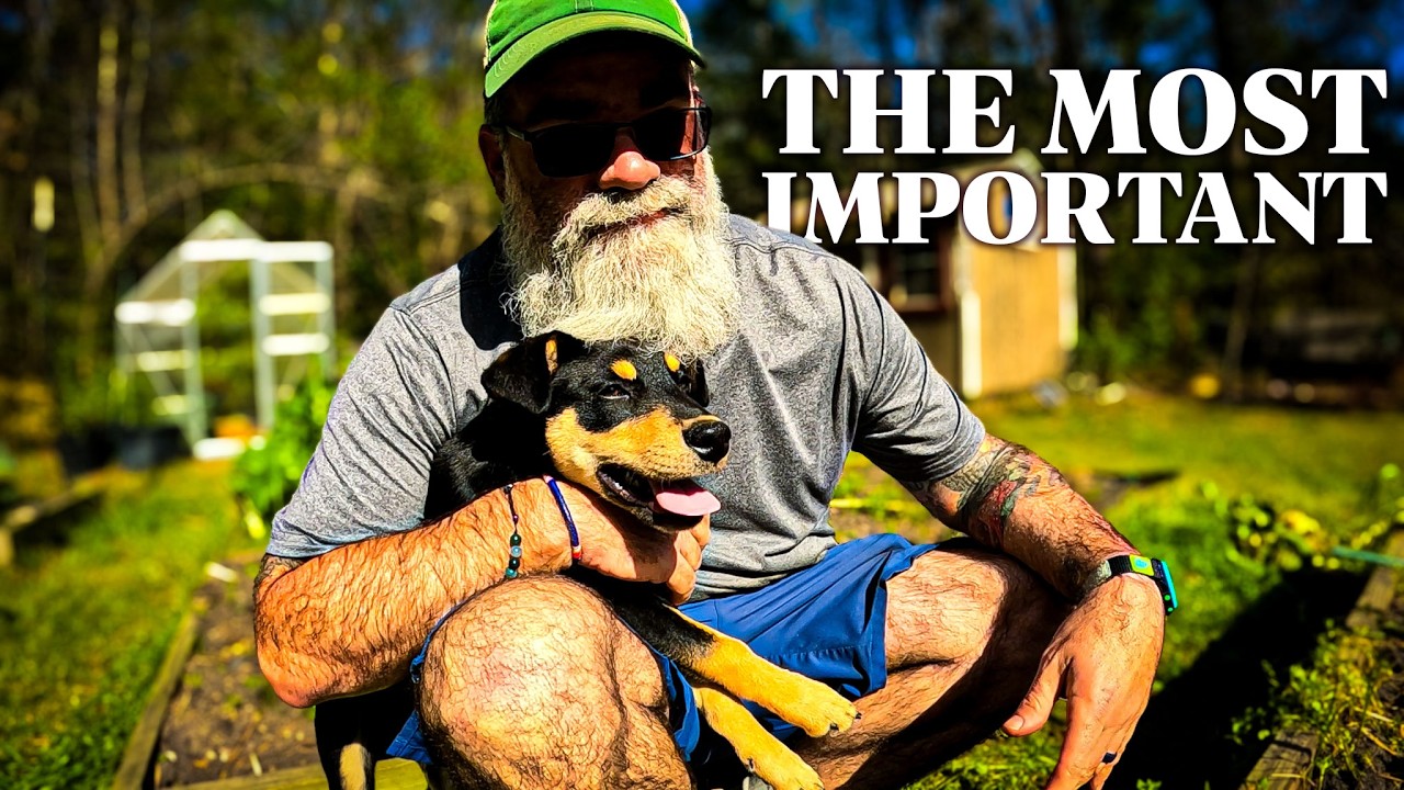 5 ways to add this key nutrient in to your garden