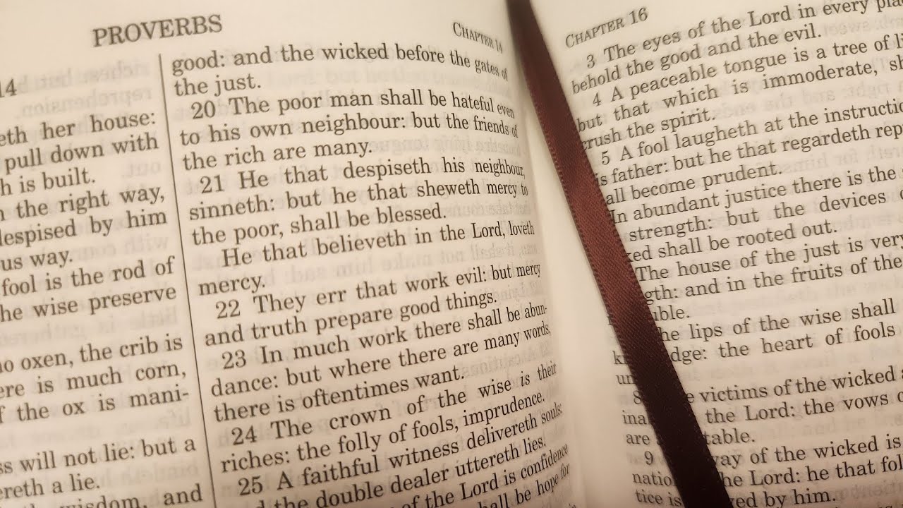 Proverbs 18 and 19, Douay Rheims Bible