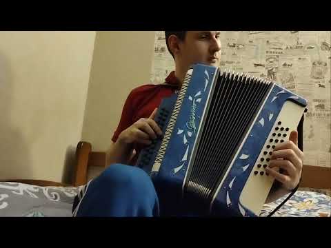 Ukrainian Garmoshka Vesna Register Button Accordion C-dur | Reverb