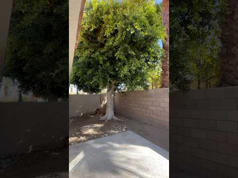 PALM SPRINGS PROPERTY MANAGEMENT- 73625 Catalina Way Unit 18 Palm Desert, CA 92260
