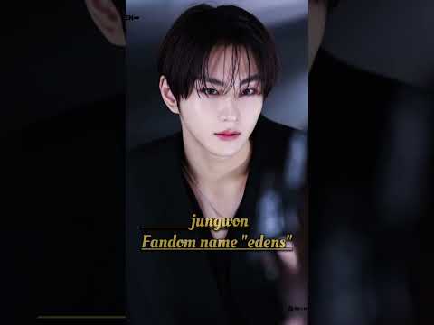 Enhypen members and their Fandom names!~🎀 #Enhypen #enhypenedit #engene #sunghoon #shorts #Fandom