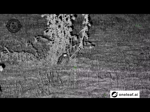 Commander NV500 Eagle 4K Digital Day/Night Vision Rifle Scope