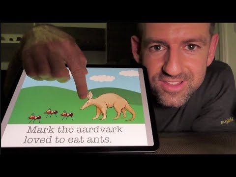 The Little Aardvark