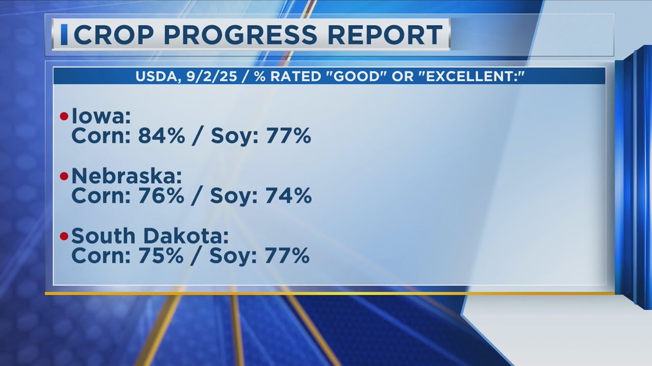 USDA Crop Report 9/3/ 25