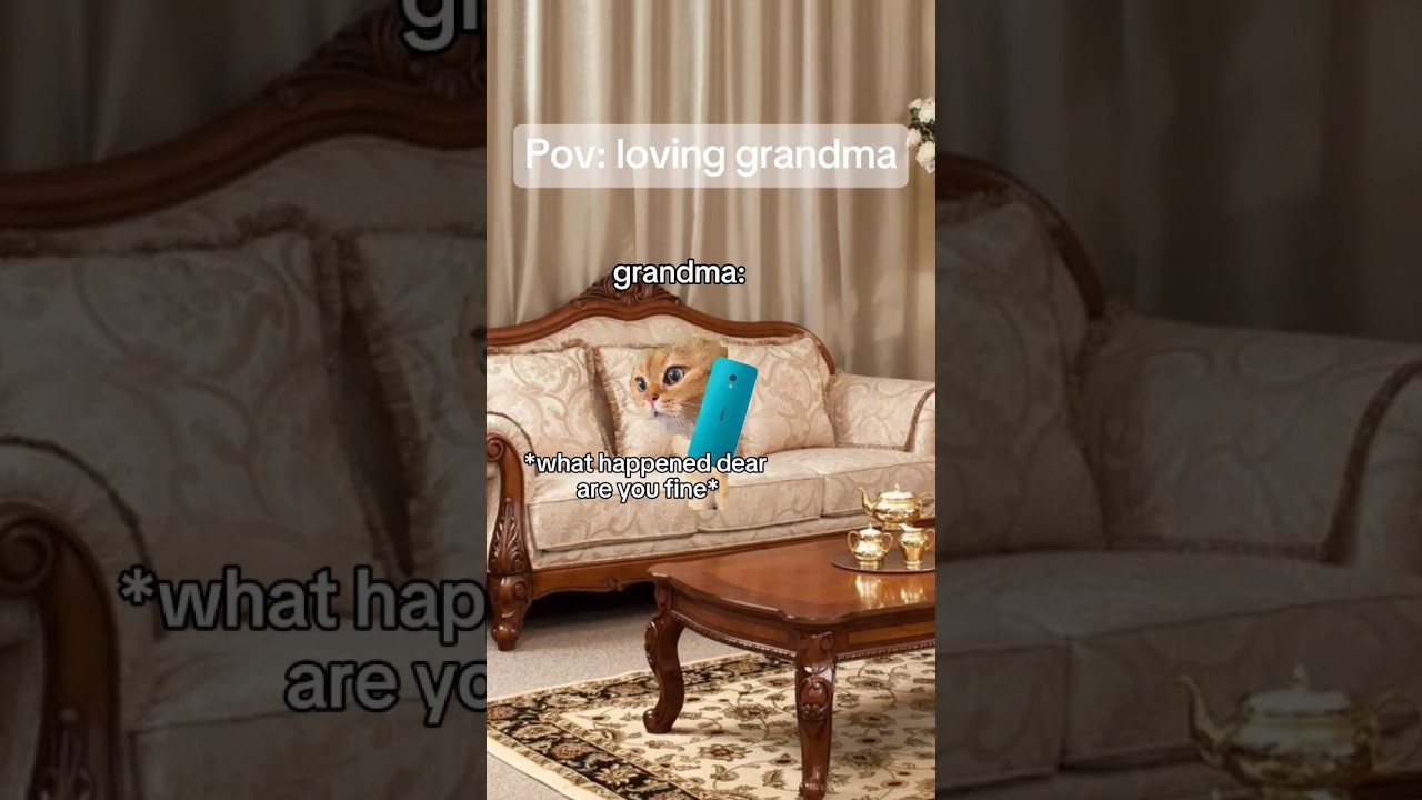 Loving grandma #shortfeed #catmemes #funnymemes #relatable #catlover #funny