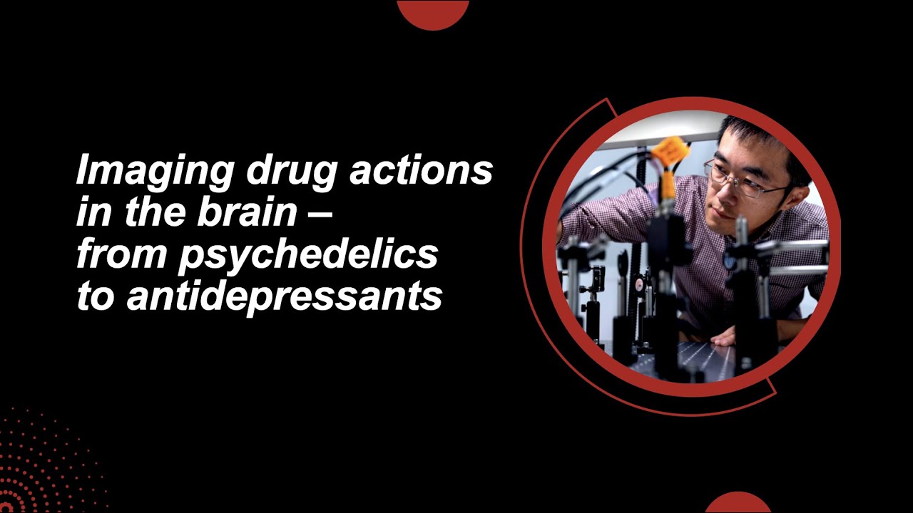 Lab Talk: Imaging drug actions in the brain – from psychedelics to antidepressants