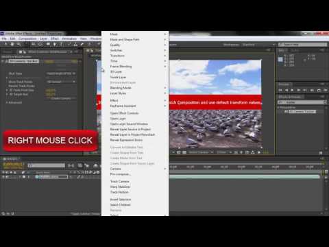 3D Camera tracker Layer size must match Composition and use default transform values
