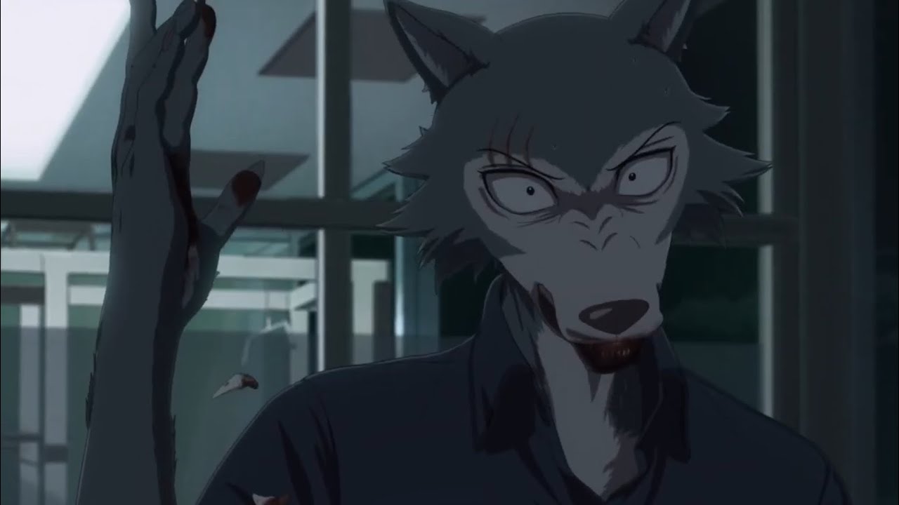 Legoshi rips out his teeth | Beastars Season 3 | English Dub