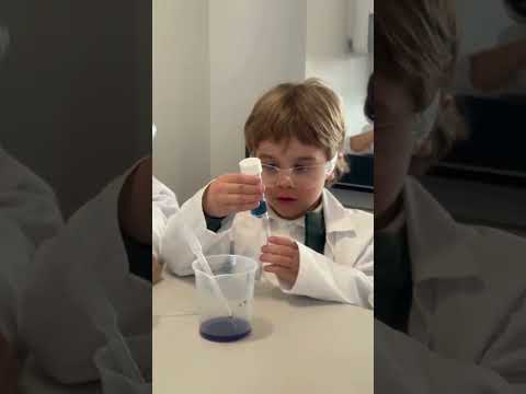 Reception Students in the Science Lab