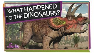 Learn English through Video What Happened to the Dinosaurs?.