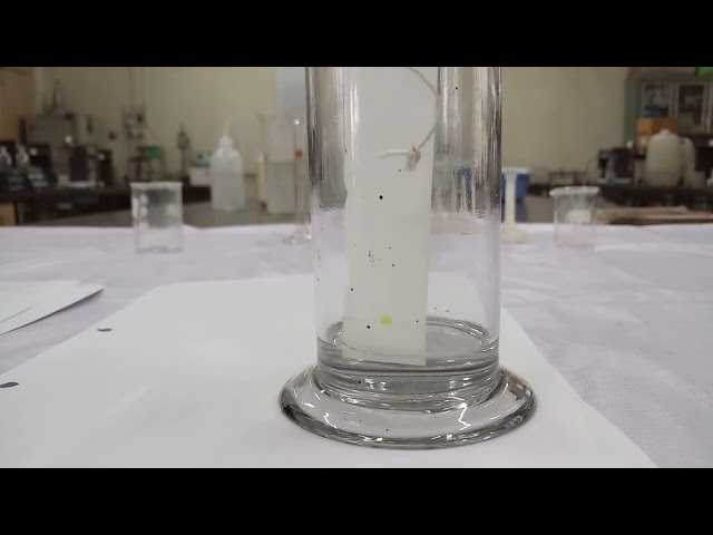 Understanding Paper Chromatography for Inorganic Cation Separation | Galaxy