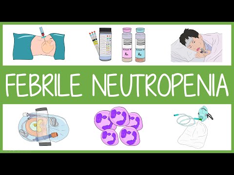 Febrile Neutropenia in 3 Minutes