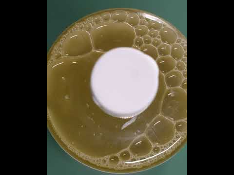 GREEN BEAVER | Meet our 100% natural Castile Soap