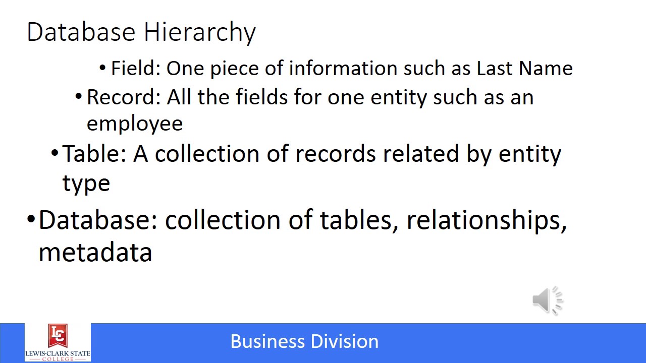 Management Information Systems: Data and Databases