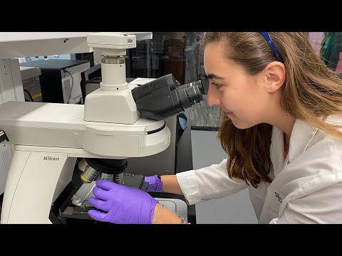 PDI R&D Laboratory Tour