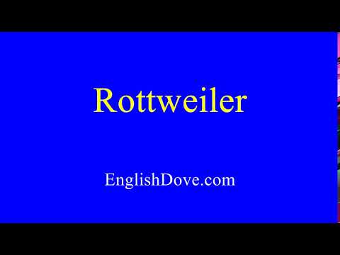 How to pronounce Rottweiler in American English.