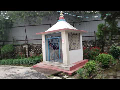 Vlog of Thapathali Campus | Rimesh Lwagun |