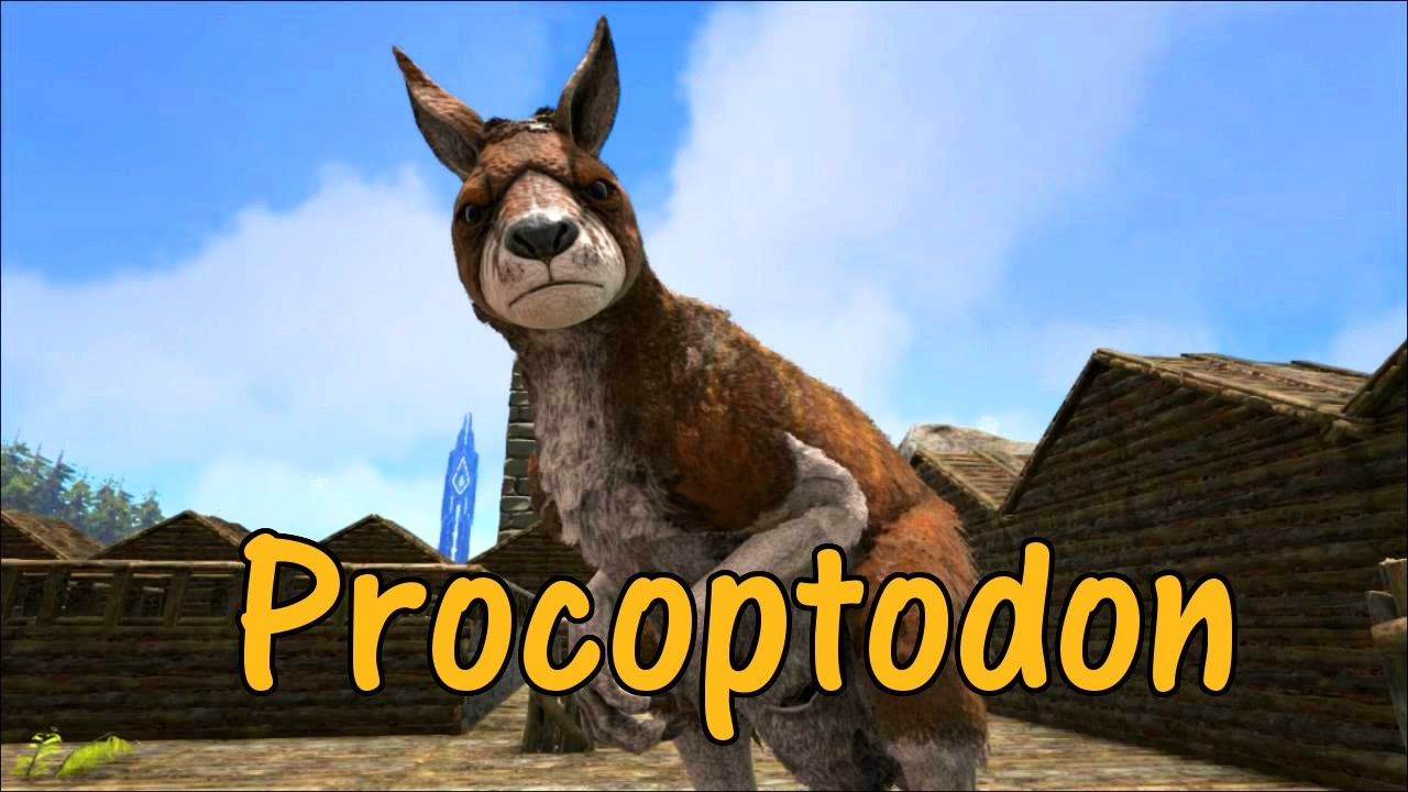 Procoptodon Educational Special [23]