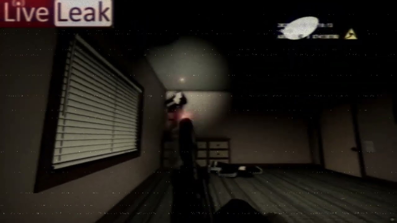 Stealth Raid gone wrong Roleak