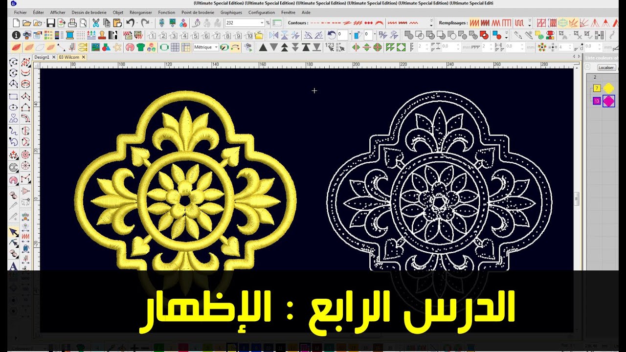 Mastering Wilcom: Understanding the Display Features in Embroidery ...