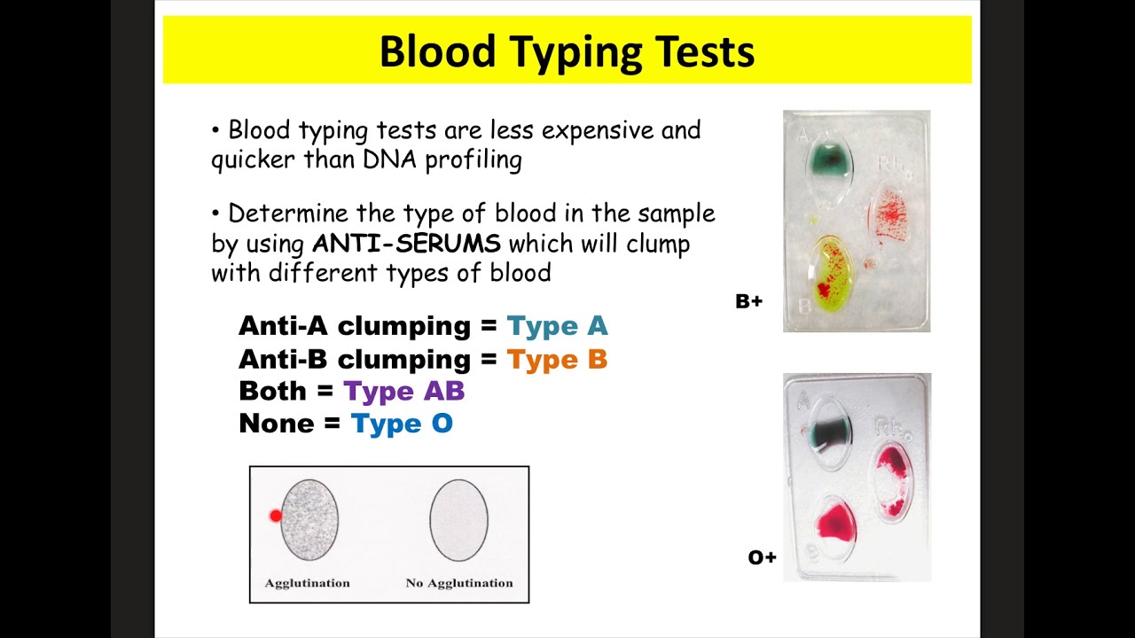 Blood Basics Notes Forensics