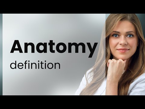 Anatomy | ANATOMY meaning