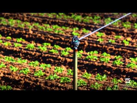 R2000WF/R2000LP Rotator® | Nelson Irrigation Australia