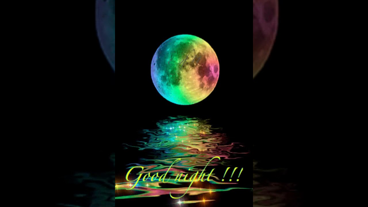 Good Night GIF   Find & Share on GIPHY