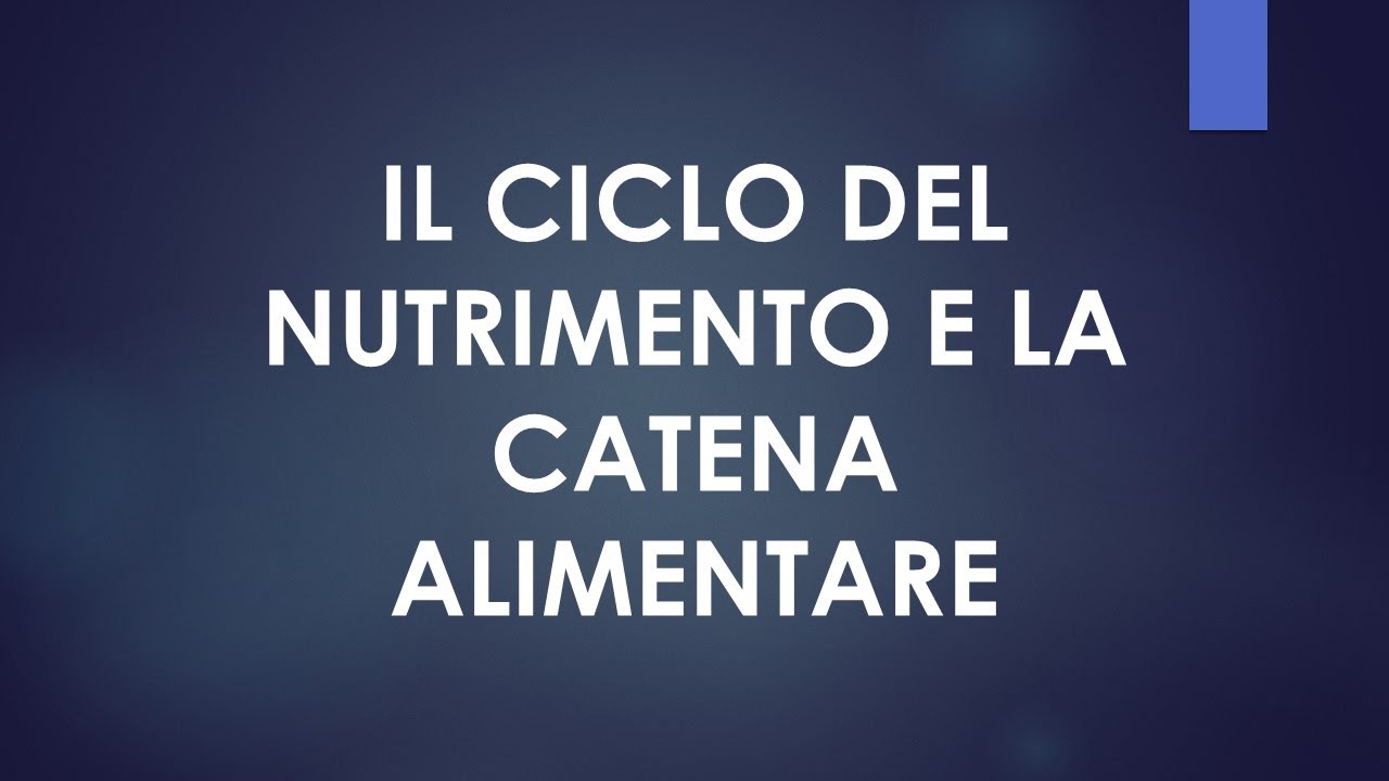 Ciclo del nutrimento e catena alimentare
