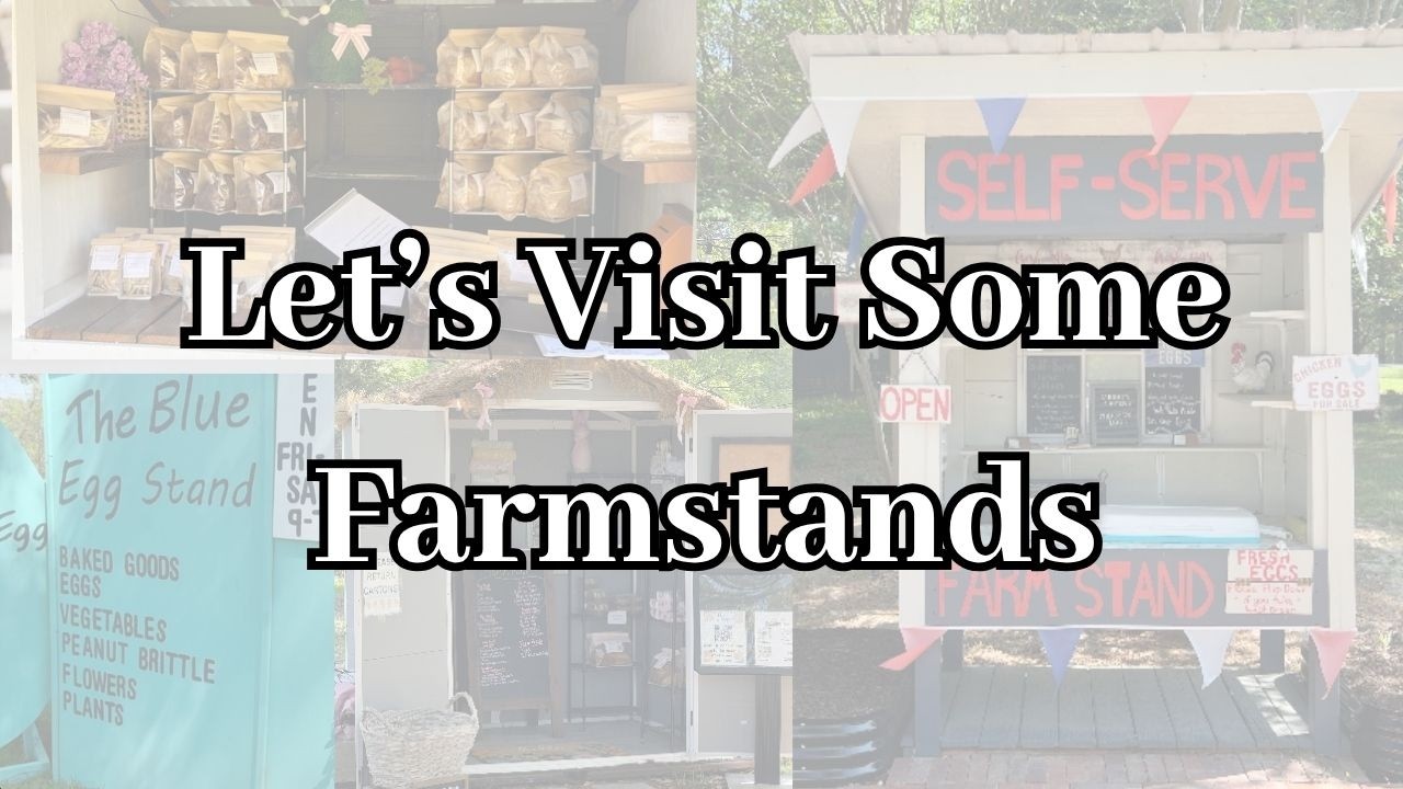 Let's Visit Some Local  Farmstands Together