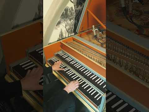 Behind-the-scenes Harpsichord magic from ADHD